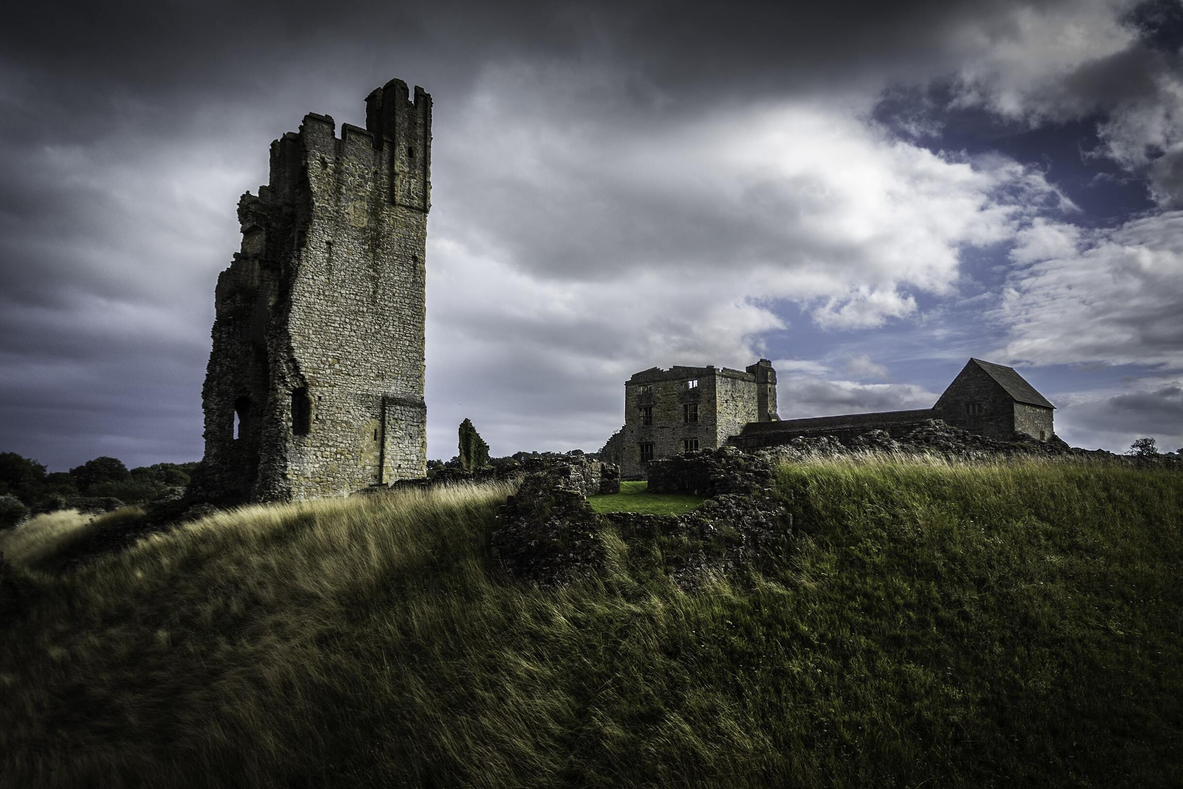 Helmsley Loss - Secret World