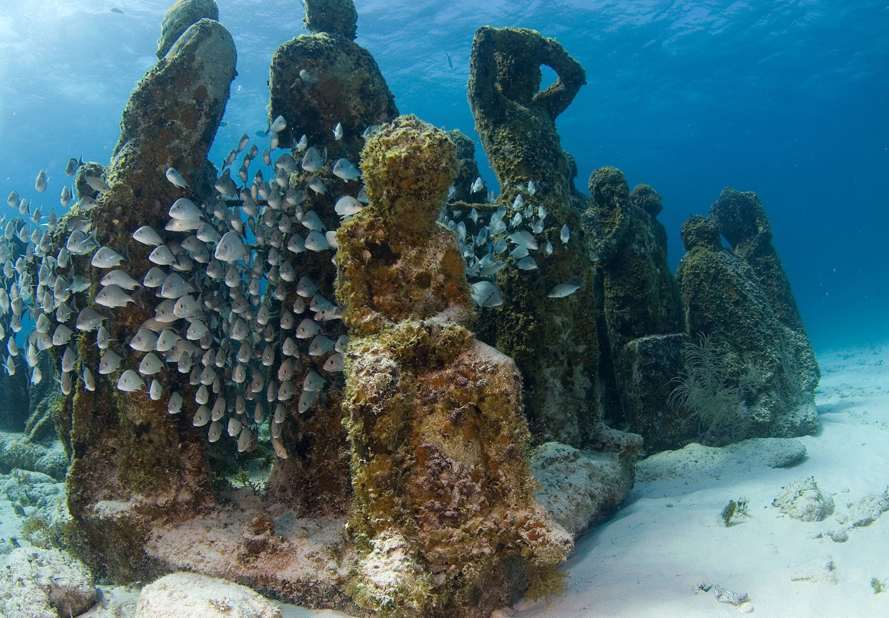 Museo sa ilalim ng dagat ng sining - Secret World