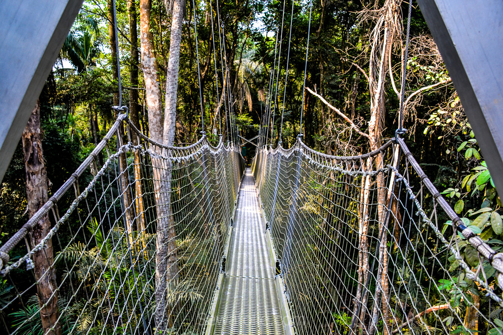 Lekki Pemuliharaan Pusat dan yang paling lama kanopi berjalan - Secret ...